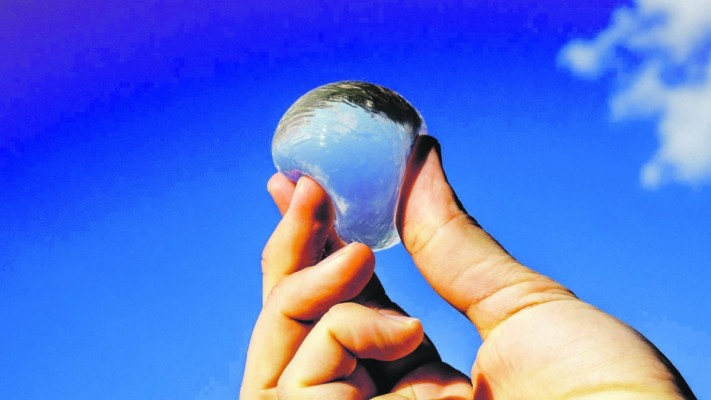 Ooho!, Wadah Minum Tanpa Plastik yang Bisa Dimakan - zetizen.com